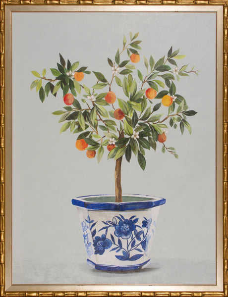 Potted Orange Tree – Home With Hechart